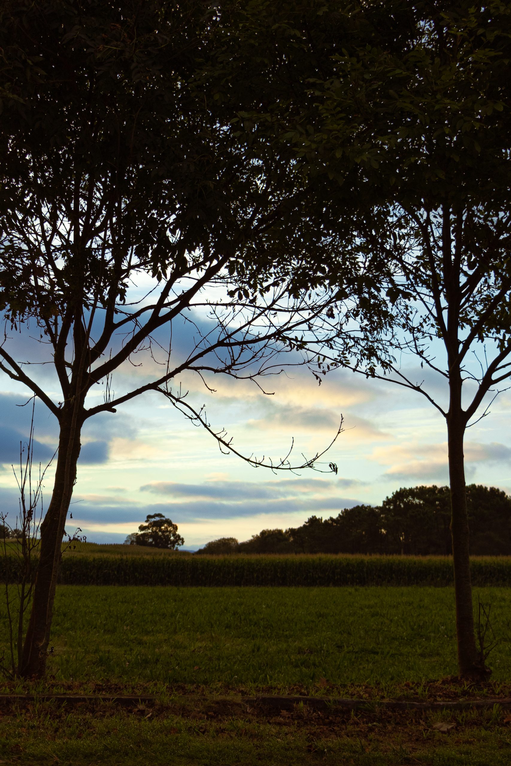 Academia Ervamar - Ervamar