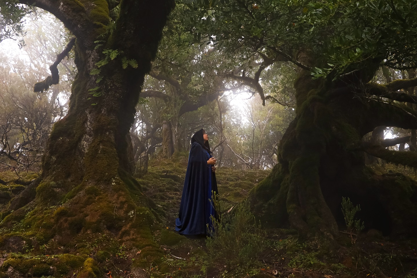 Espiritualidade & Natureza - Ervamar