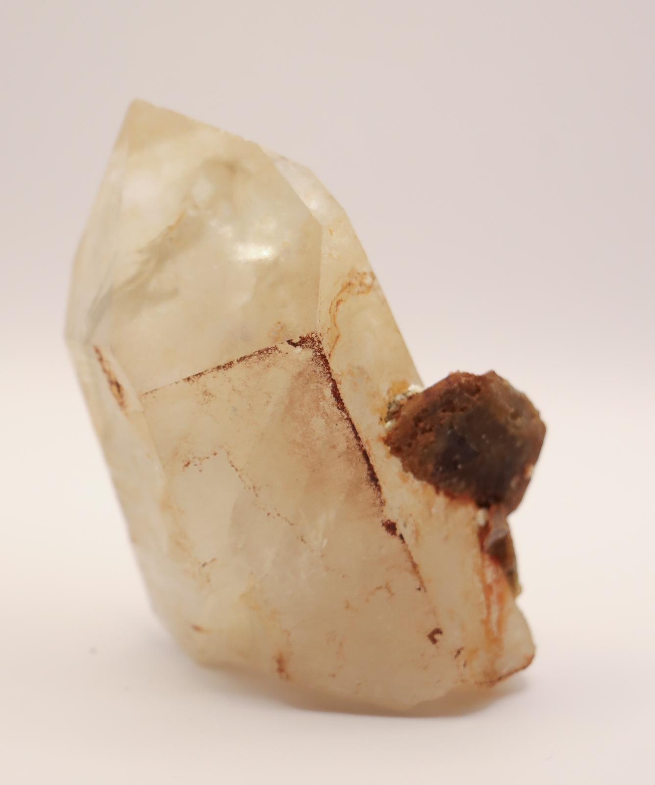 Cristal Escudo - Ervamar