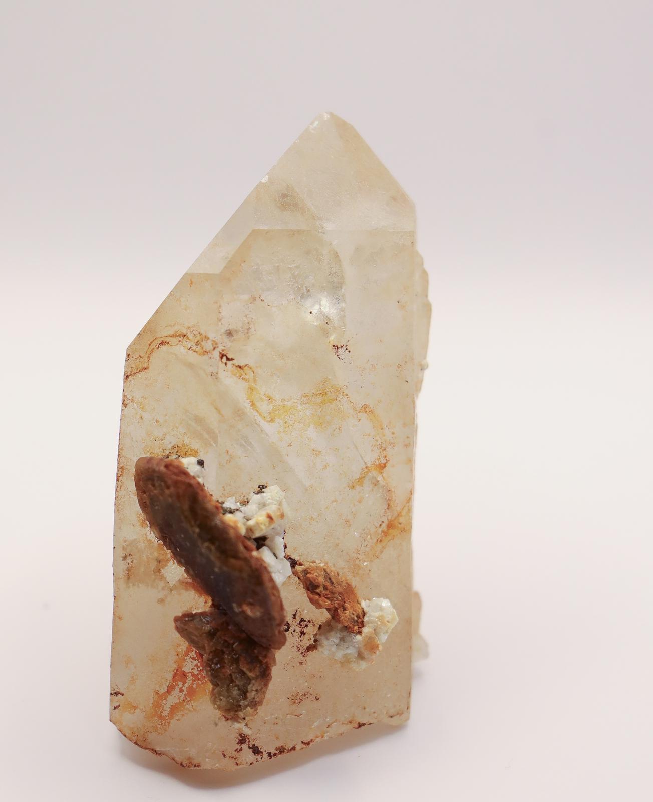 Cristal Escudo - Ervamar