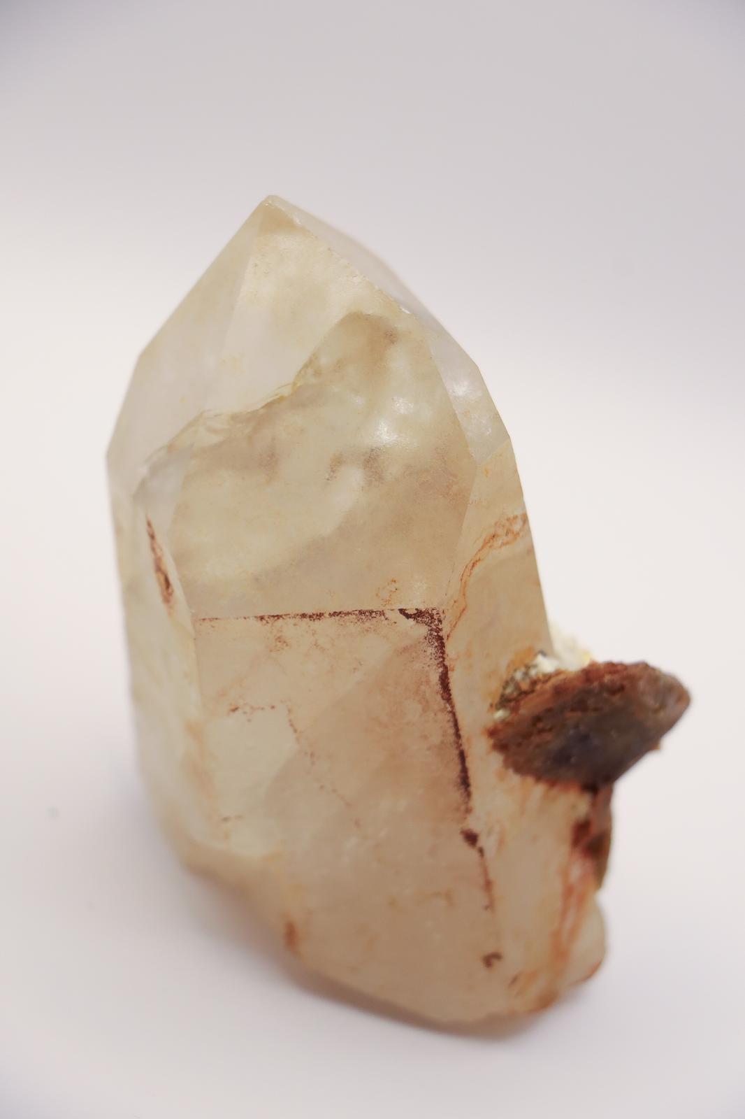 Cristal Escudo - Ervamar